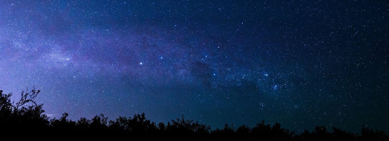 PGH Bricks and Pavers - Nightfall - BIMcontent.com