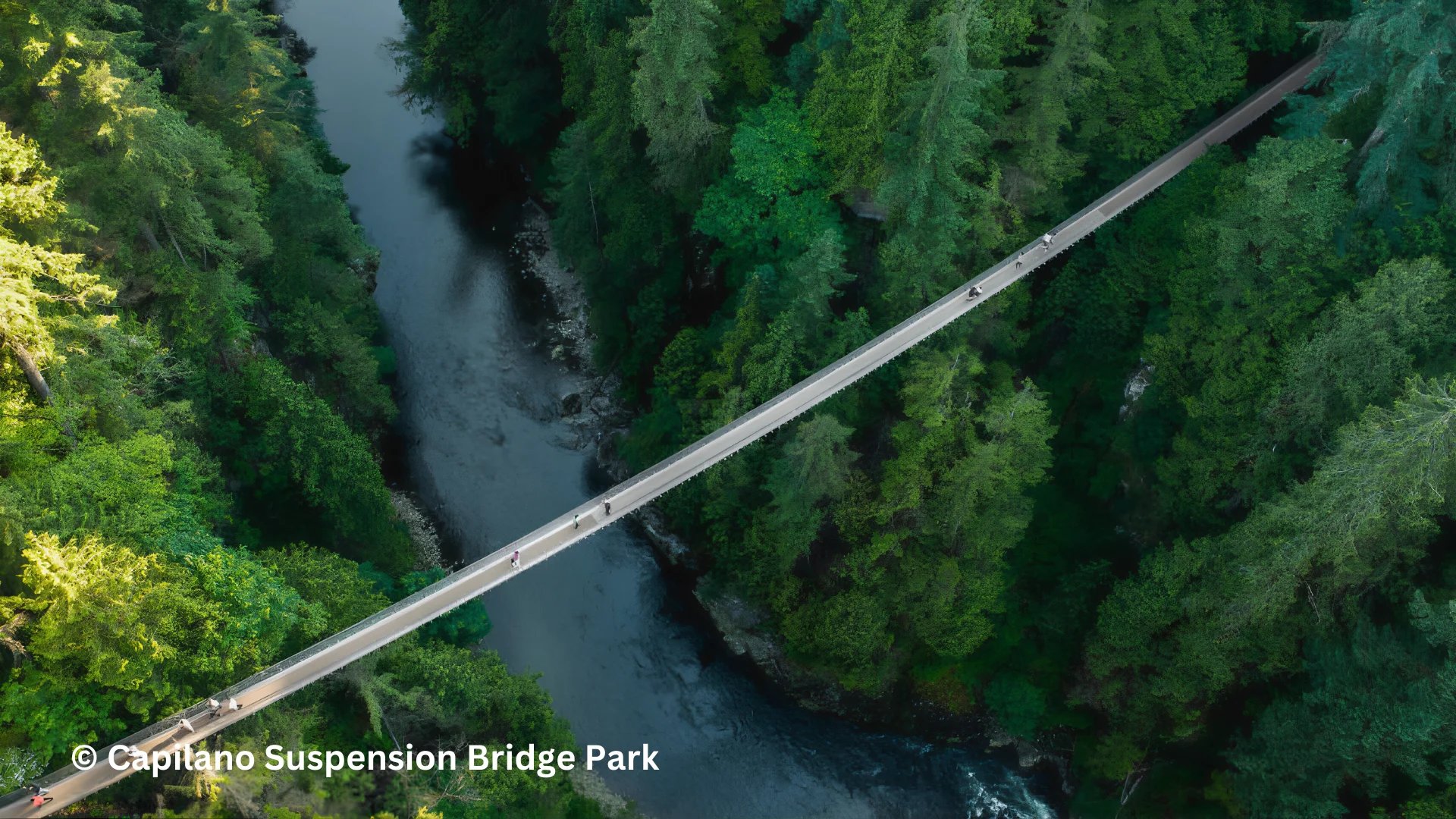 10 Most Dangerous Bridges In The World - WanuViral