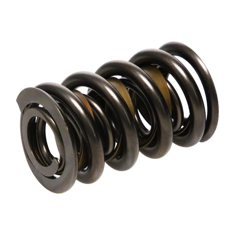 PAC Racing 1200 Series Dual Valve Spring W/ Damper | PAC-1226 | PAC ...