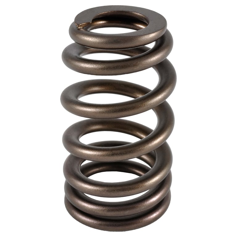 Valve Springs | PAC Racing Springs