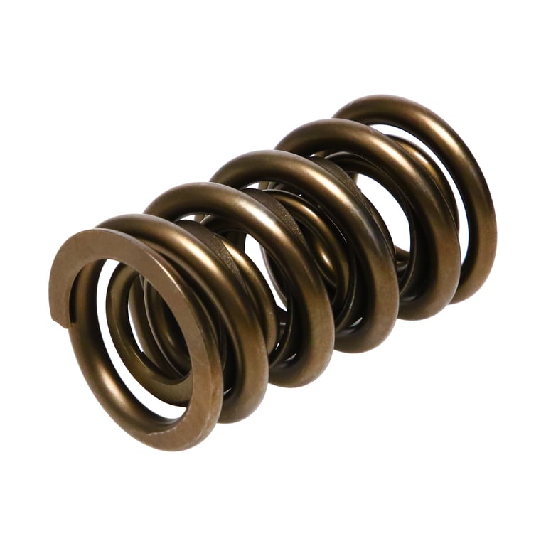 Circle Track 1200 Series Dual Valve Spring W/ Damper | PAC Racing