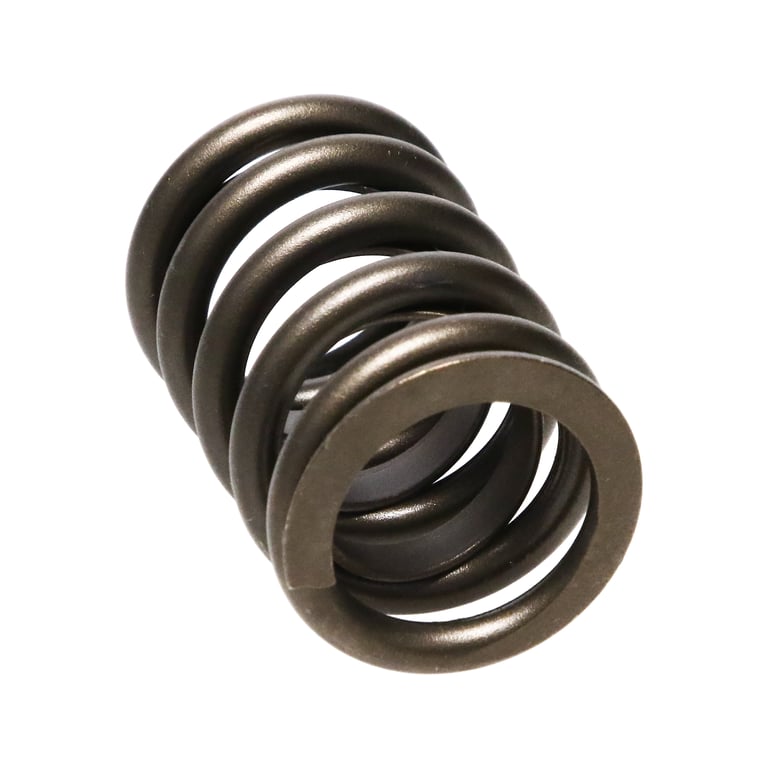 PAC Racing 1900 Series Valve Spring Set W/ Damper | PAC-1900-16 | PAC ...
