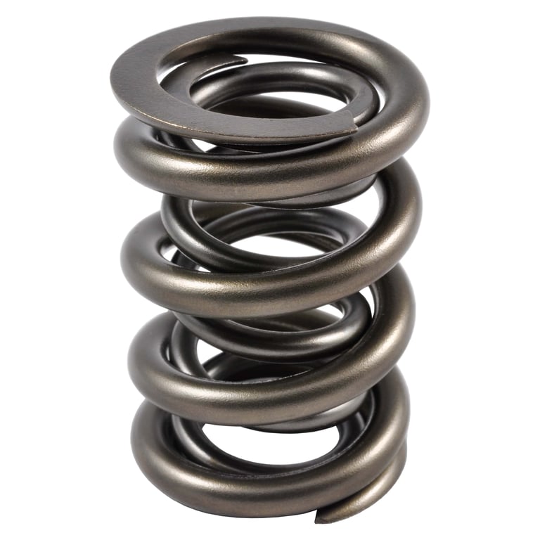 Valve Springs | PAC Racing Springs