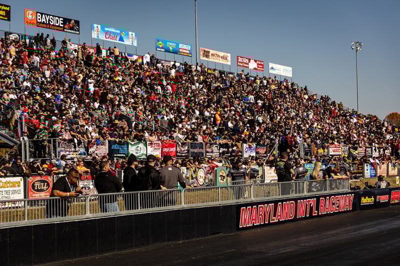 World Cup Finals : Import Vs Domestic 2023 | Manley Performance