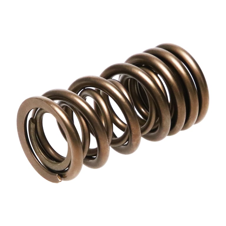 Motorcycle Valve Springs | PAC Racing