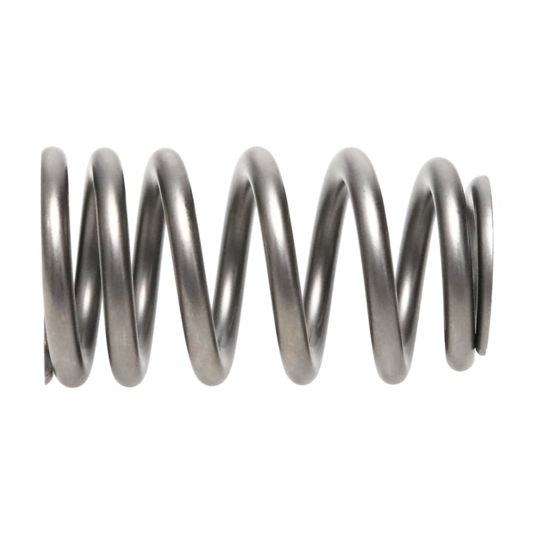 PAC Racing RPM Series Ovate Wire Beehive Valve Spring | PAC-1218X | PAC ...
