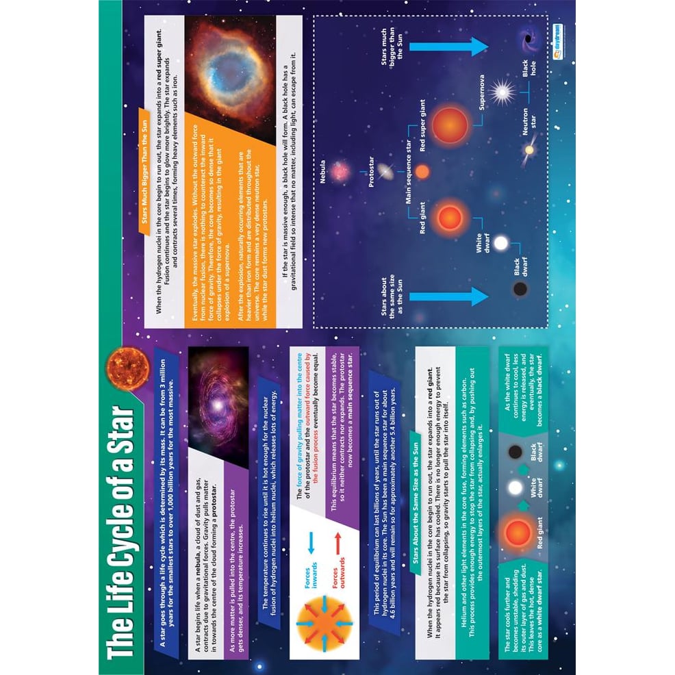 The Life Cycle of a Star Poster - Daydream Education