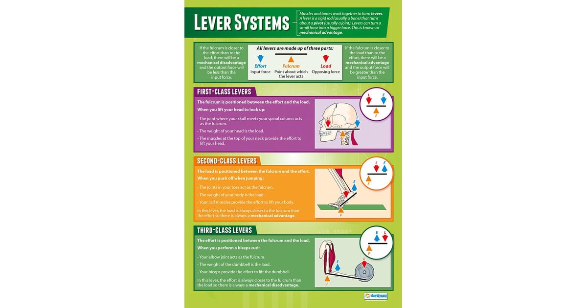 Lever Systems Poster - Daydream Education