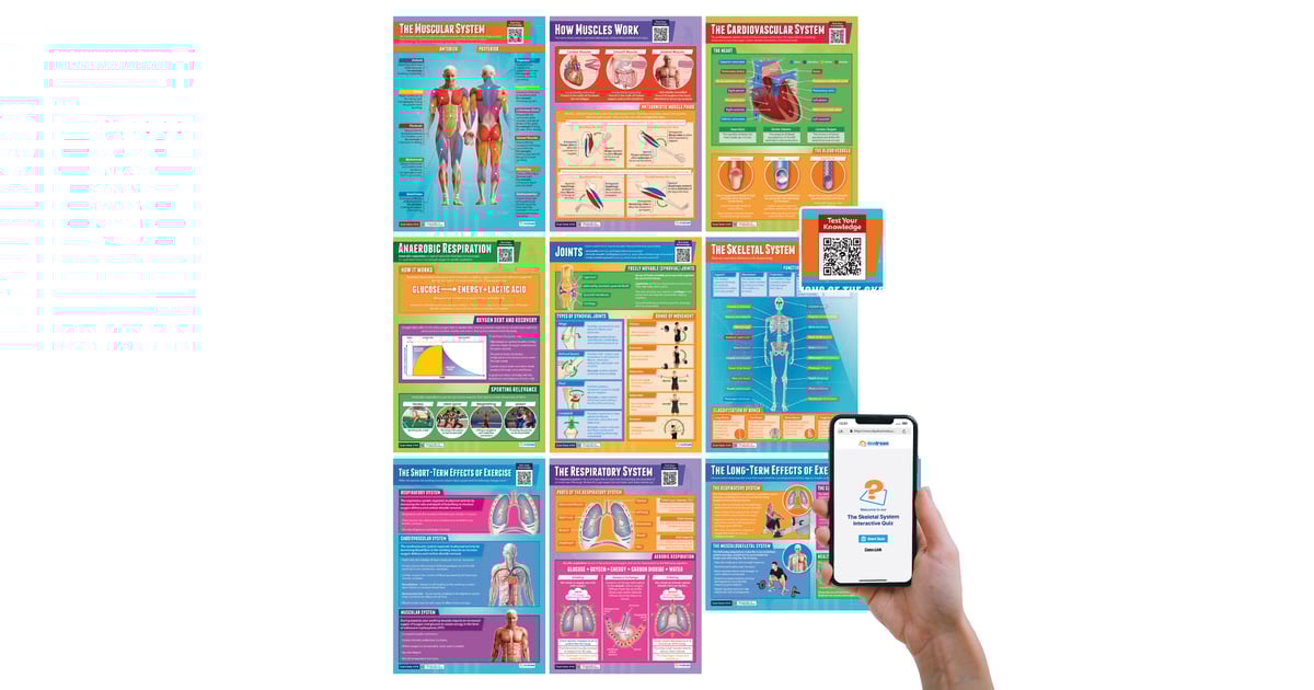 Applied Anatomy & Physiology Posters - Set of 9 - Daydream Education