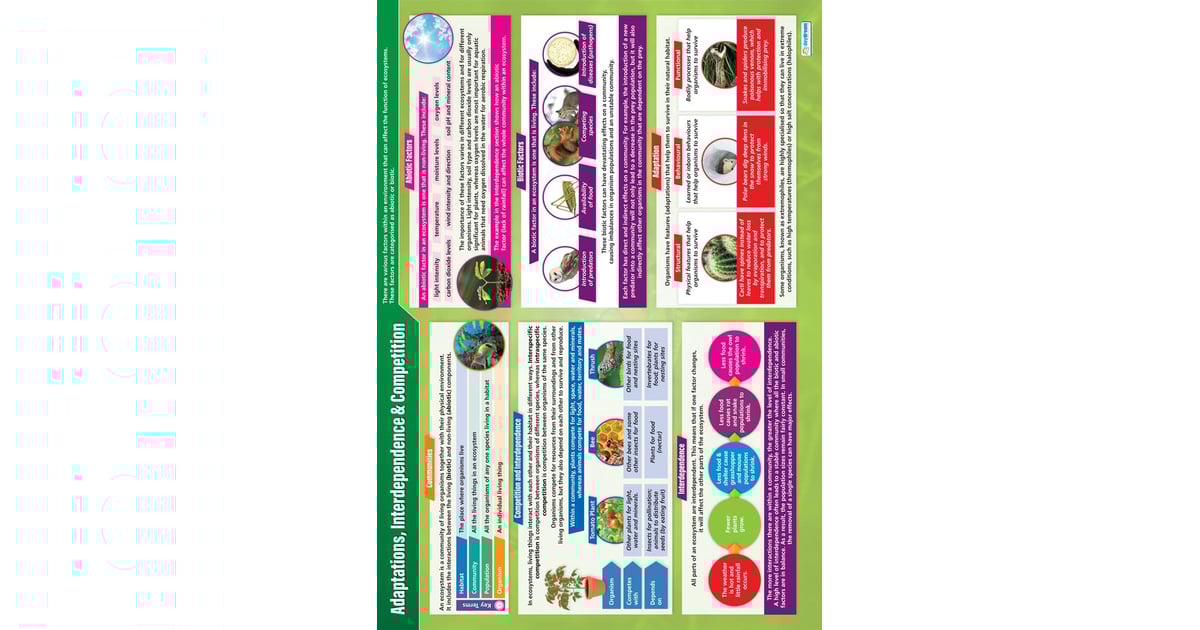 Adaptations, Interdependence & Competition Poster - Daydream Education