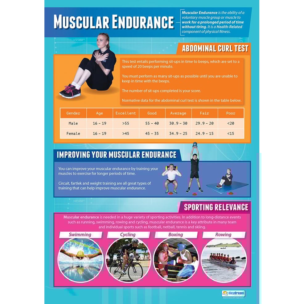 Muscular Endurance Poster - Daydream Education