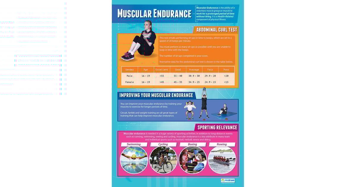Muscular Endurance Poster - Daydream Education