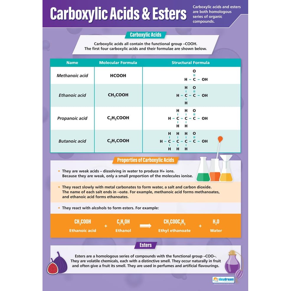 Carboxylic Acids & Esters Poster - Daydream Education