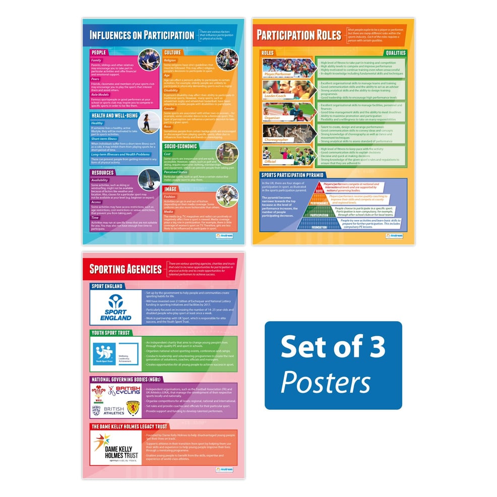 Socio-Cultural Influences Posters - Set of 3 - Daydream Education