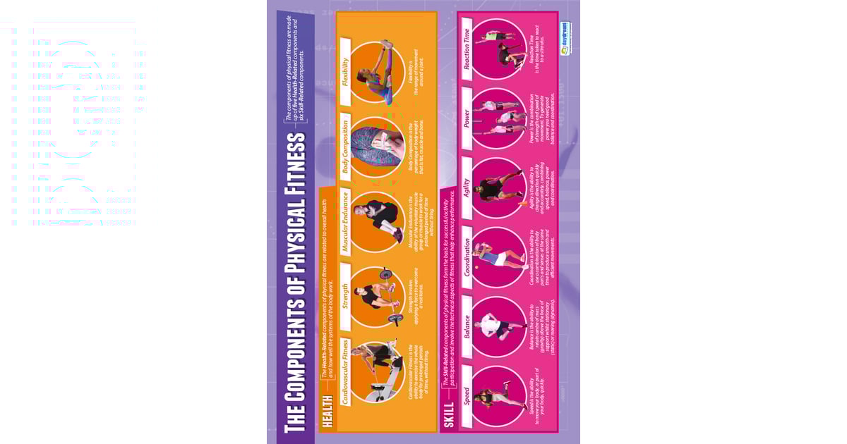 The Components of Physical Fitness Poster - Daydream Education