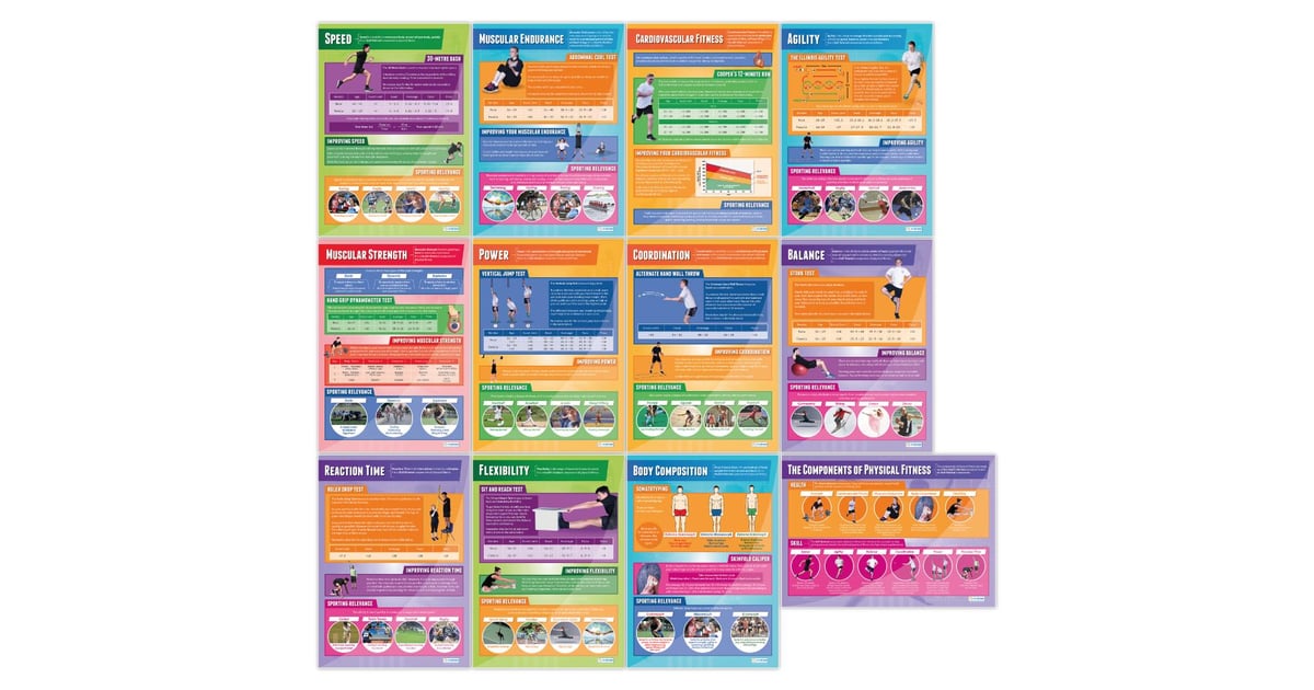 Components of Physical Fitness Posters - Set of 12 - Daydream Education
