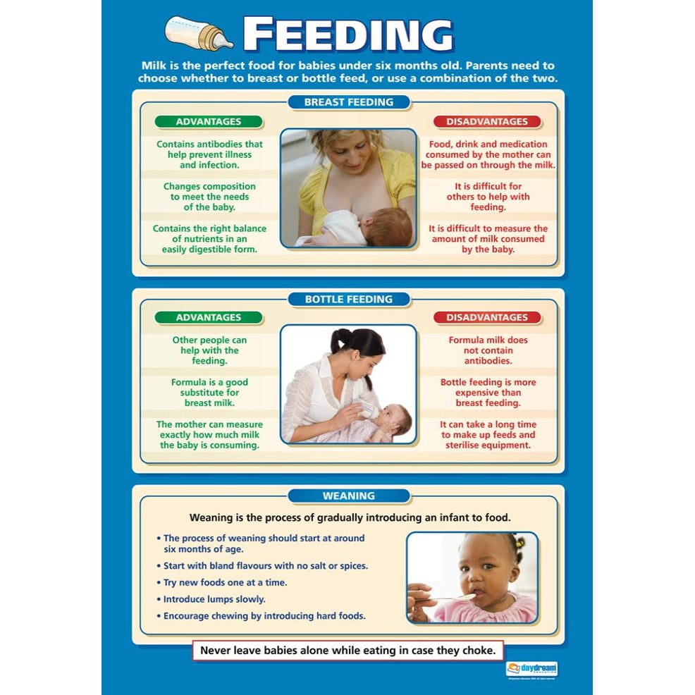 Feeding Poster - Daydream Education