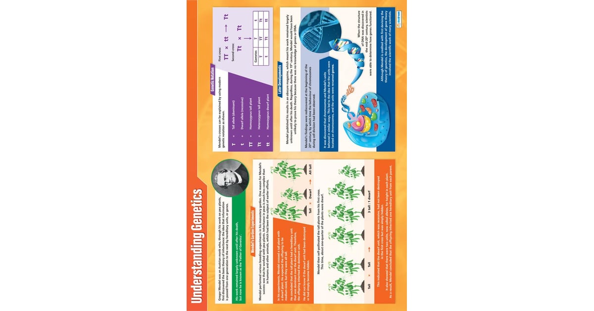 Understanding Genetics Poster - Daydream Education