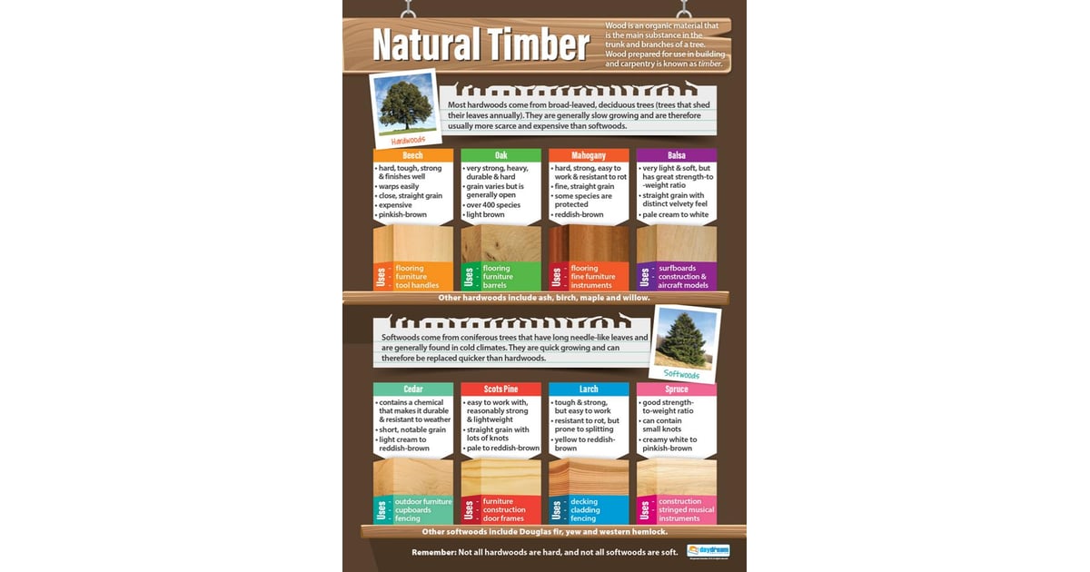 Natural Timber Poster - Daydream Education