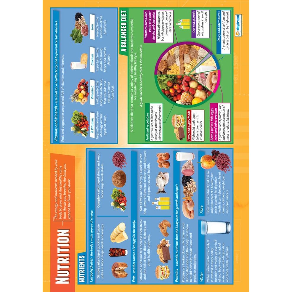 Nutrition Poster - Daydream Education
