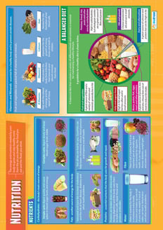 Physical Education Posters - Daydream Education