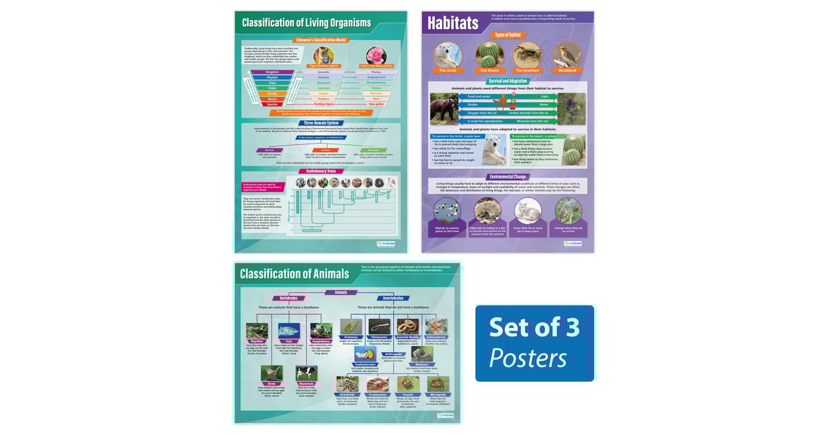 Animals & Habitats Posters - Set of 3 - Daydream Education