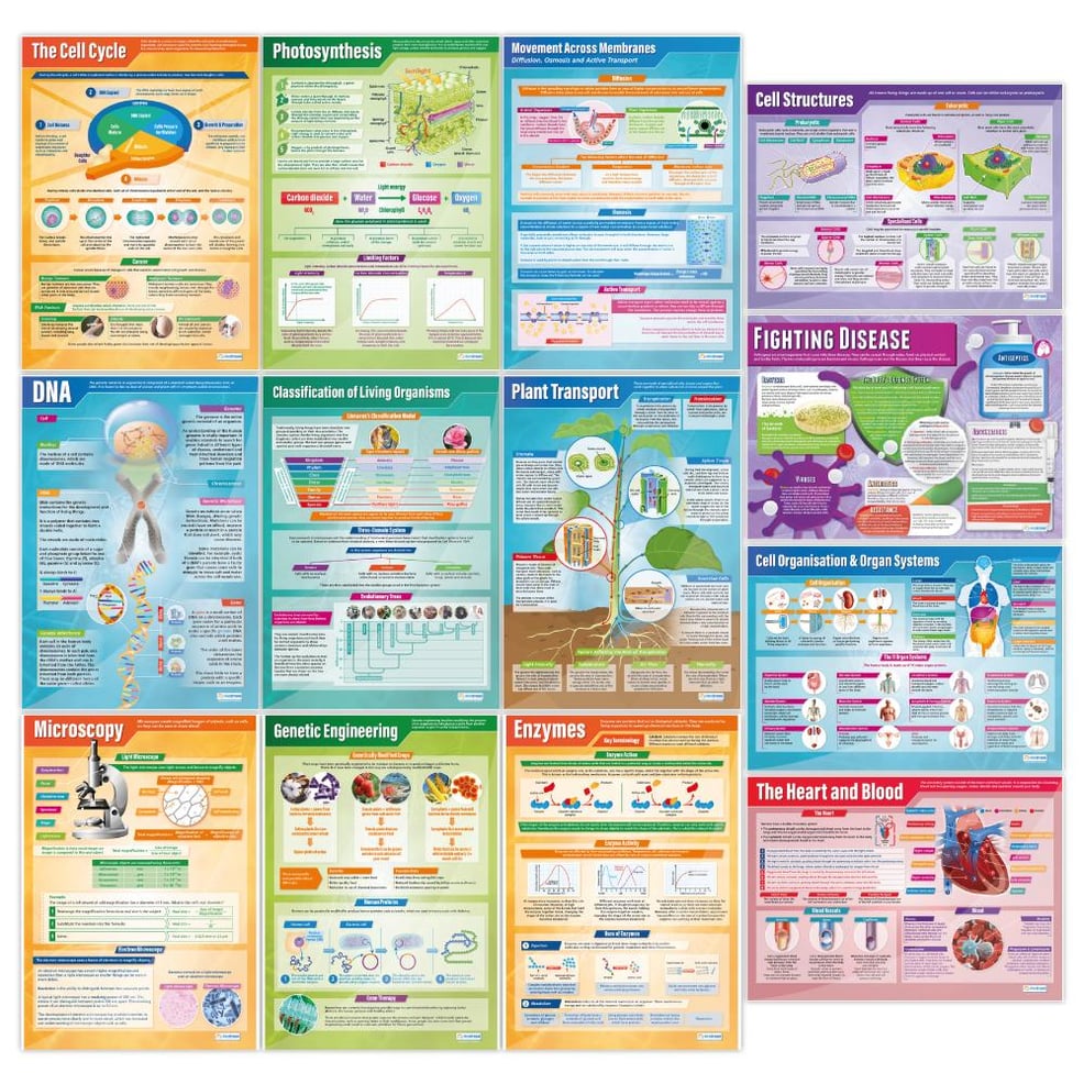 Biology Posters - Set of 13 - Daydream Education
