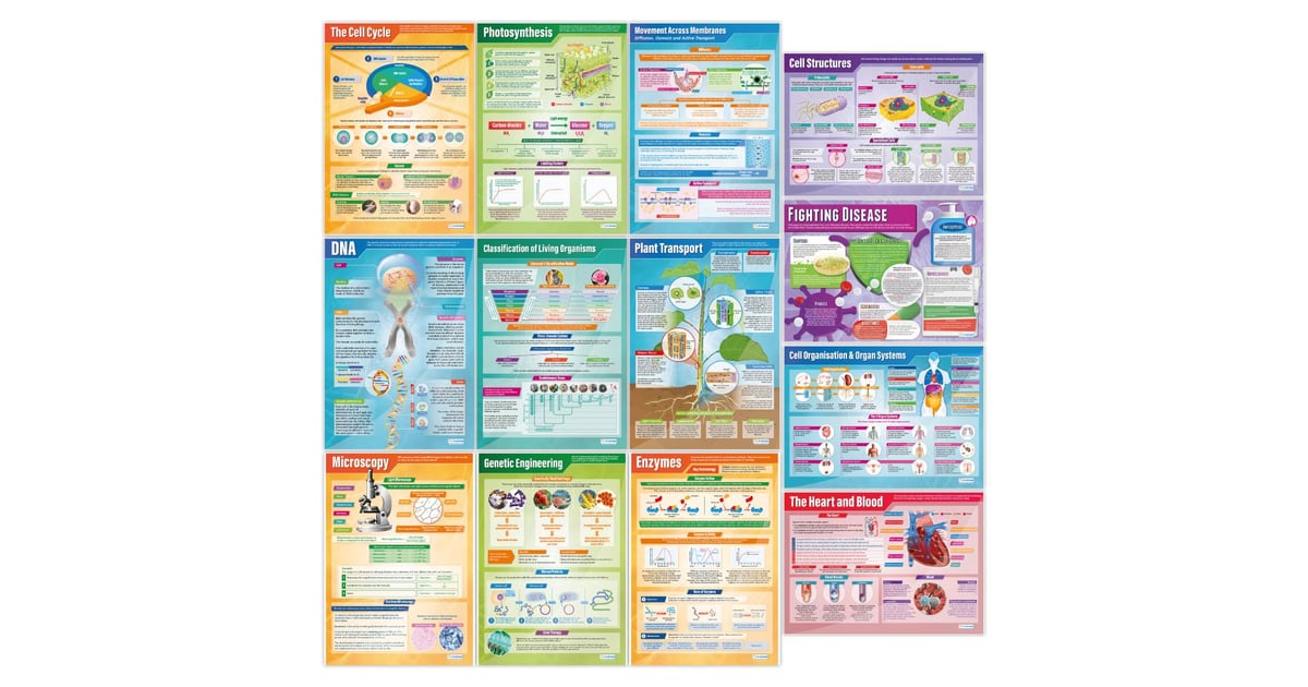 Biology Posters - Set of 13 - Daydream Education