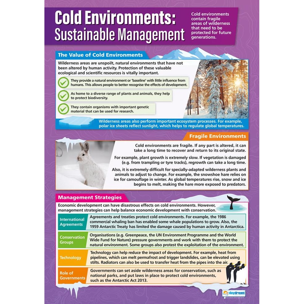 Cold Environments: Sustainable Management Poster - Daydream Education