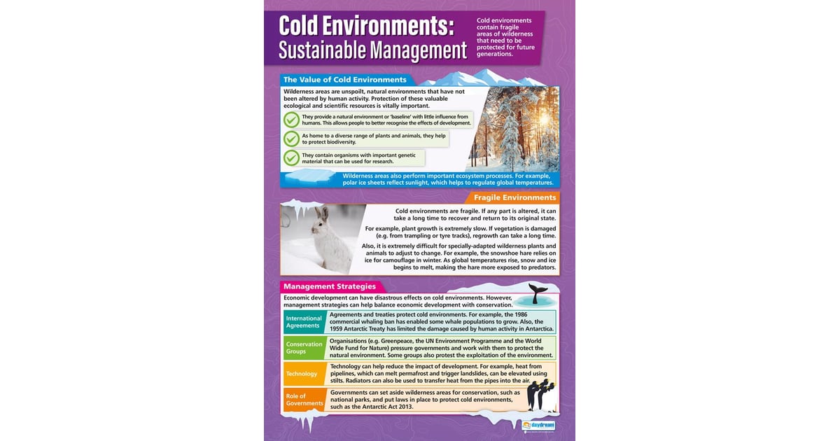 Cold Environments: Sustainable Management Poster - Daydream Education