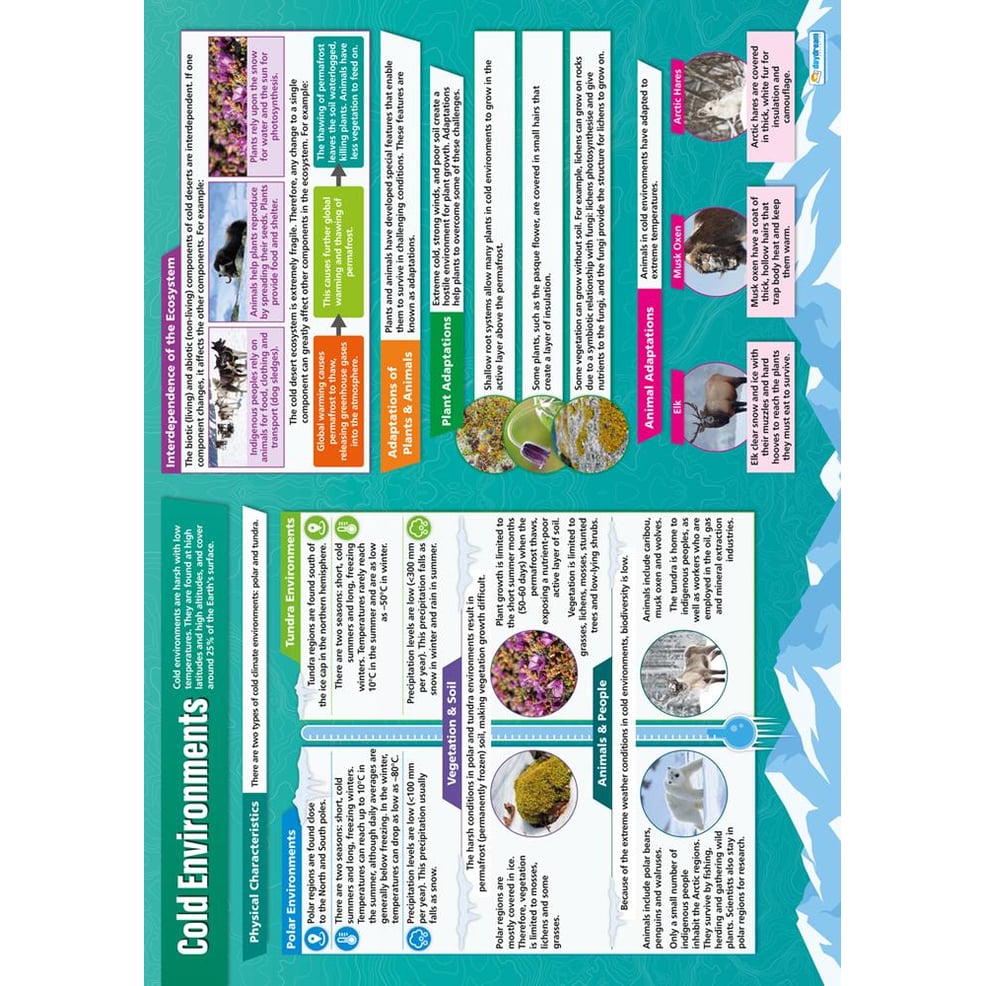 Cold Environments Poster - Daydream Education