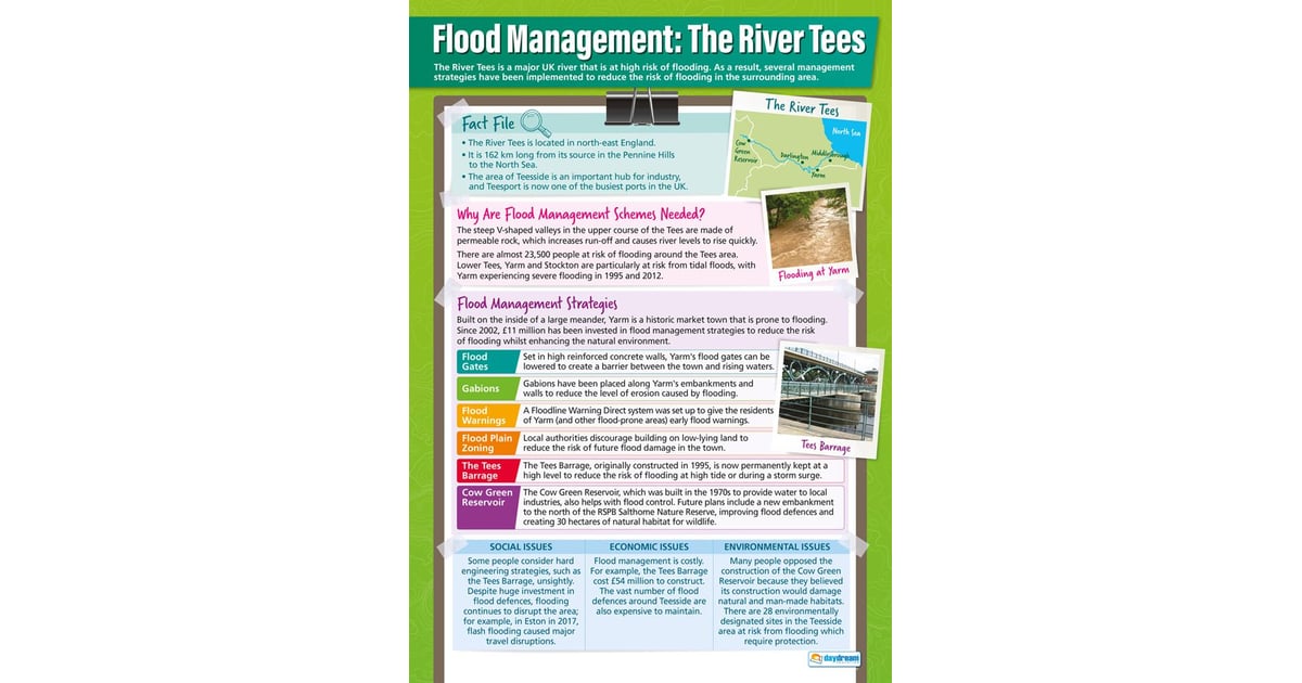 Flood Management Example: The River Tees Poster - Daydream Education