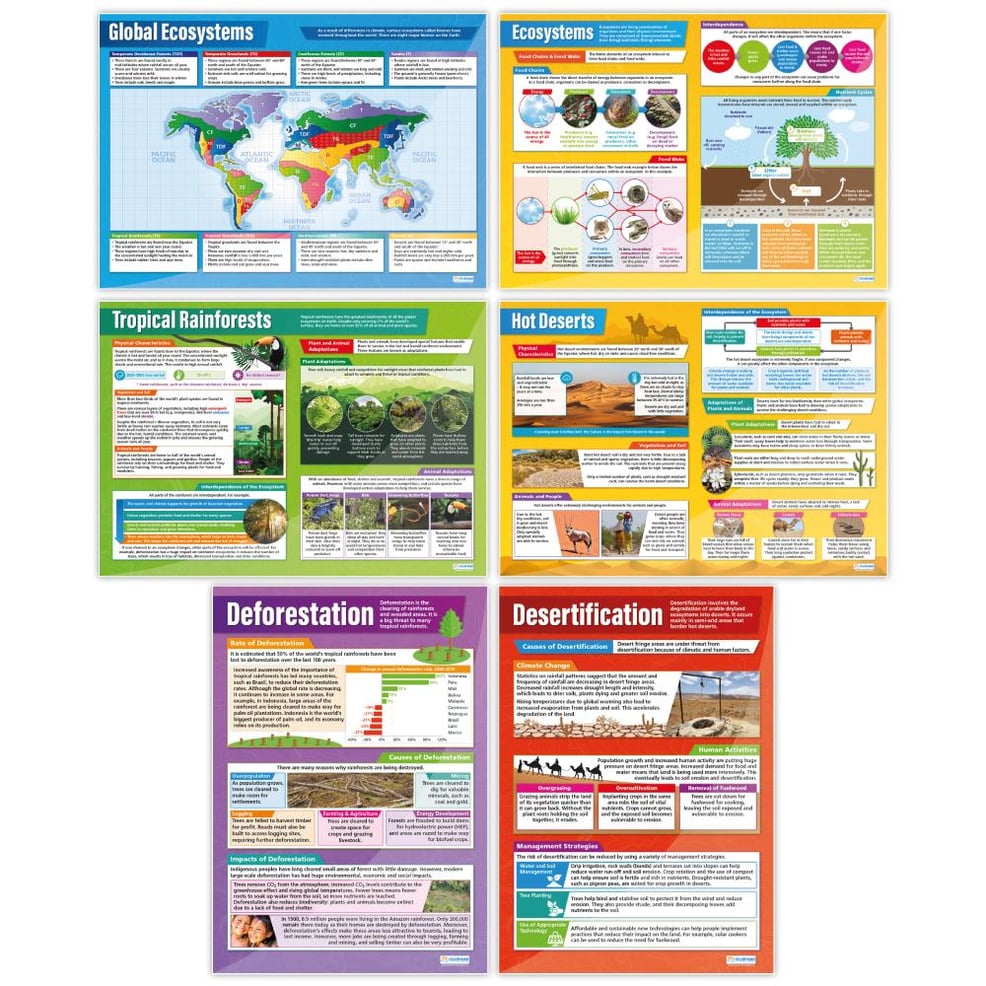 Ecosystems - Set of 6 - Daydream Education