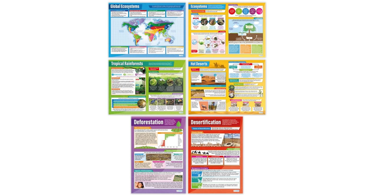 Ecosystems - Set of 6 - Daydream Education