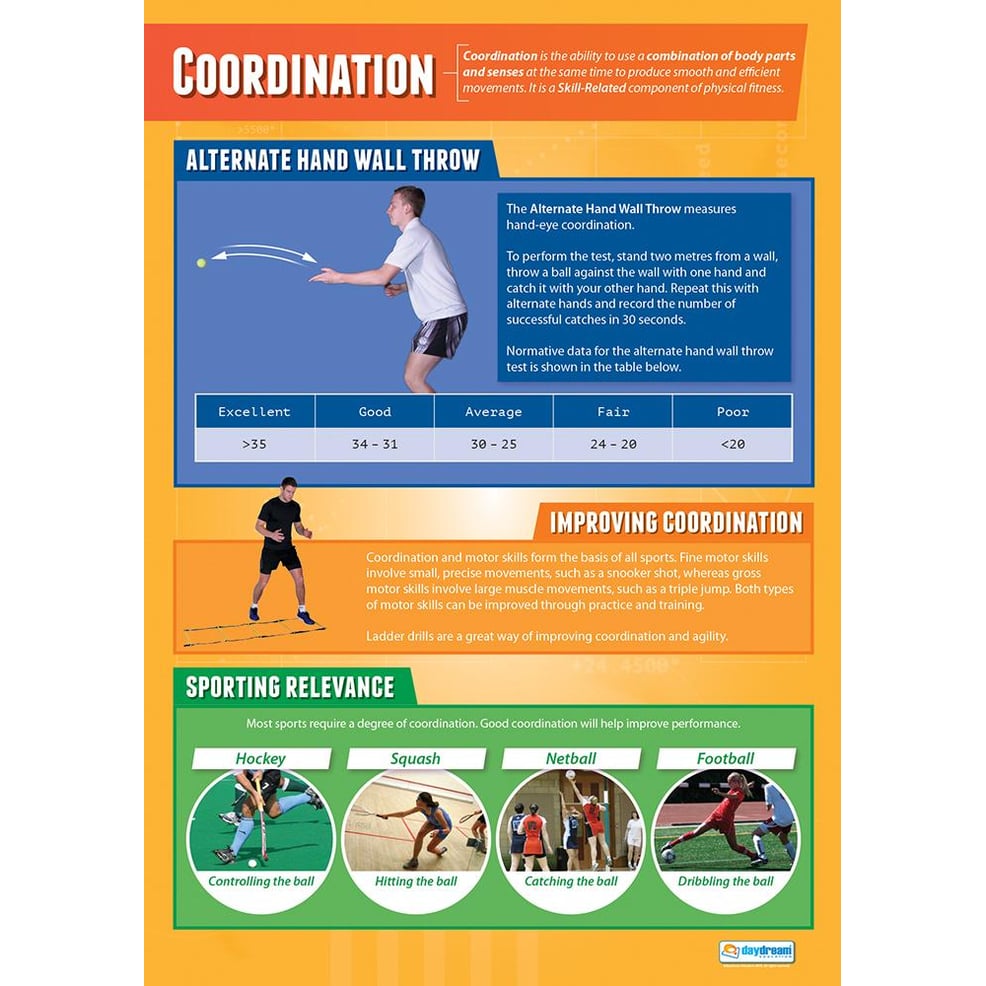Coordination Poster - Daydream Education