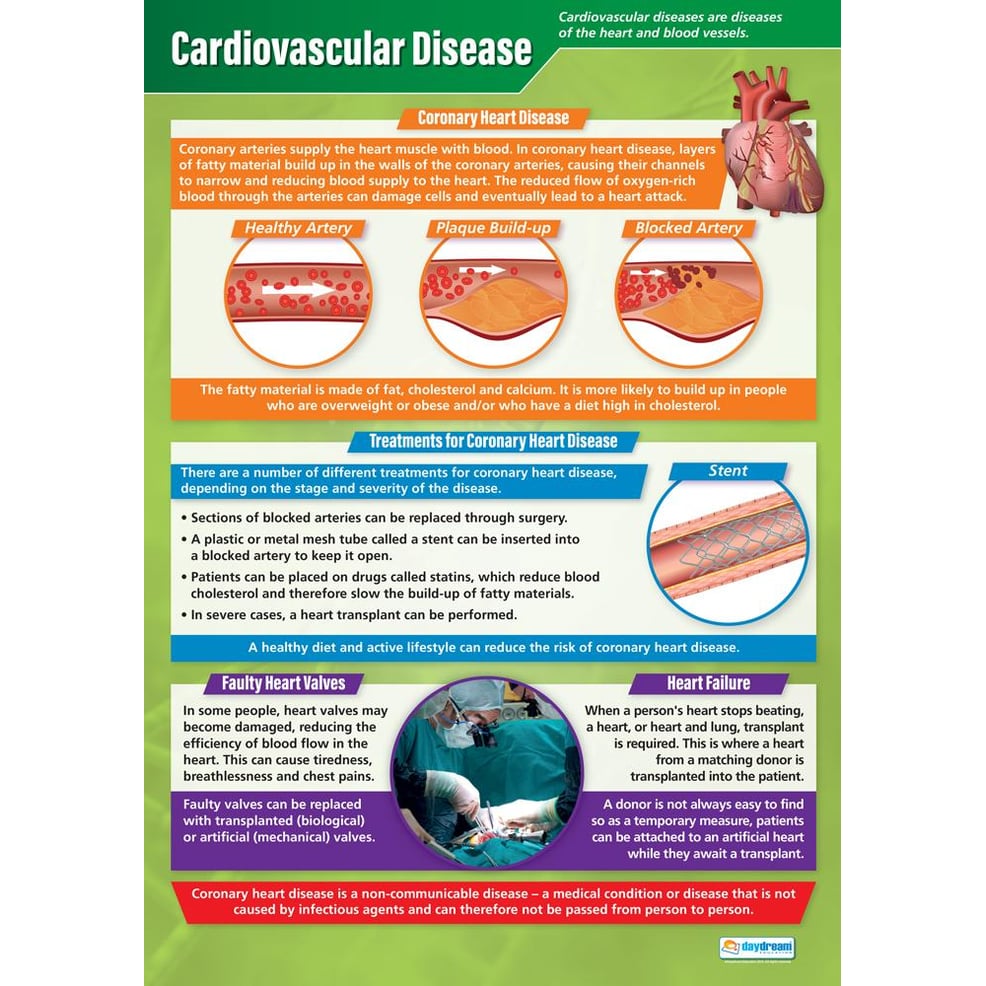 Cardiovascular Disease Poster - Daydream Education Cardiovascular Disease Poster - Daydream Education
