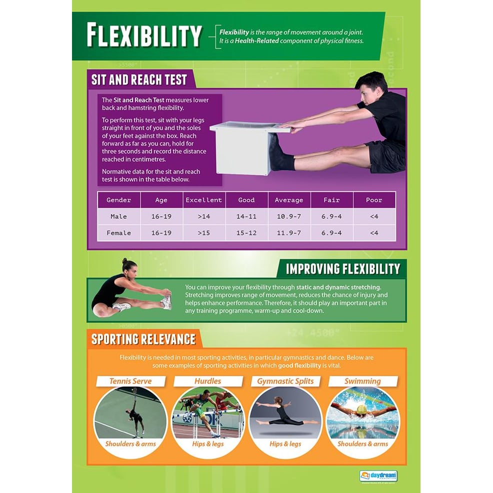 Flexibility Poster - Daydream Education