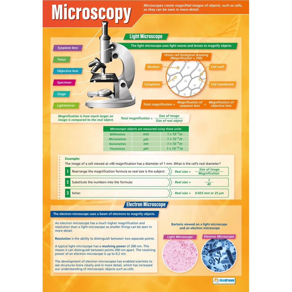 Microscopy Poster - Daydream Education