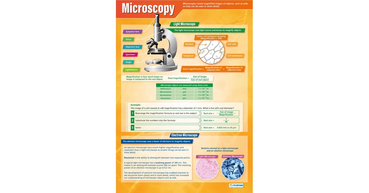 Microscopy Poster - Daydream Education