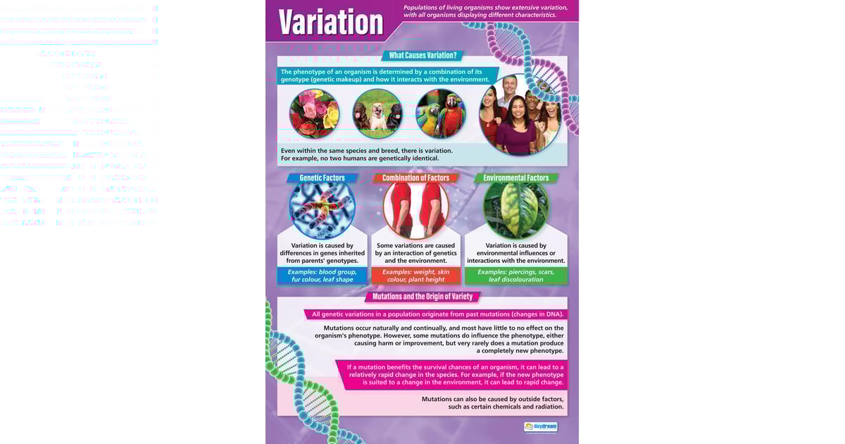 Variation Poster - Daydream Education