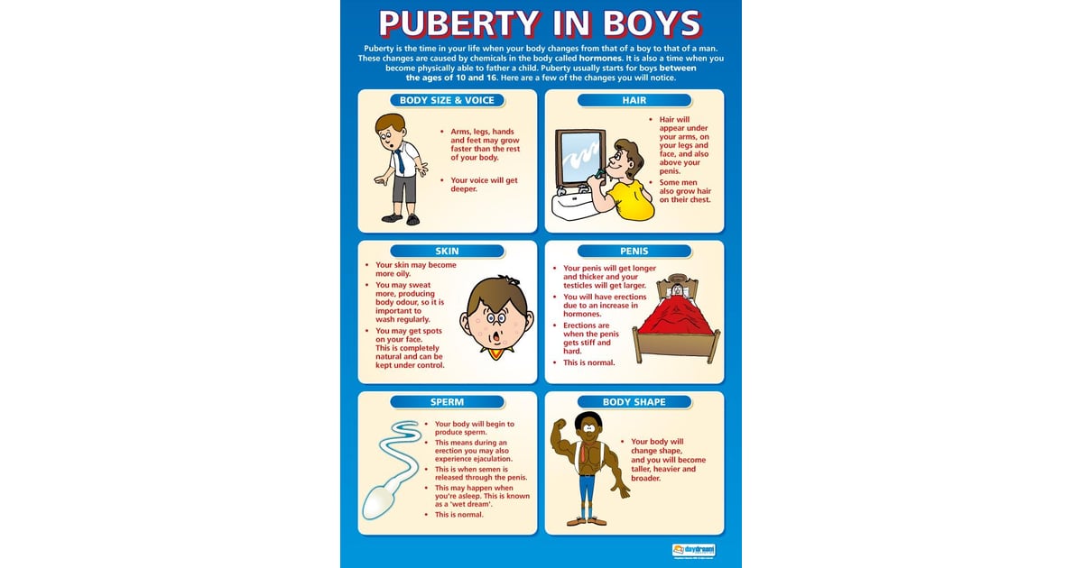 Puberty in Boys Poster - Daydream Education