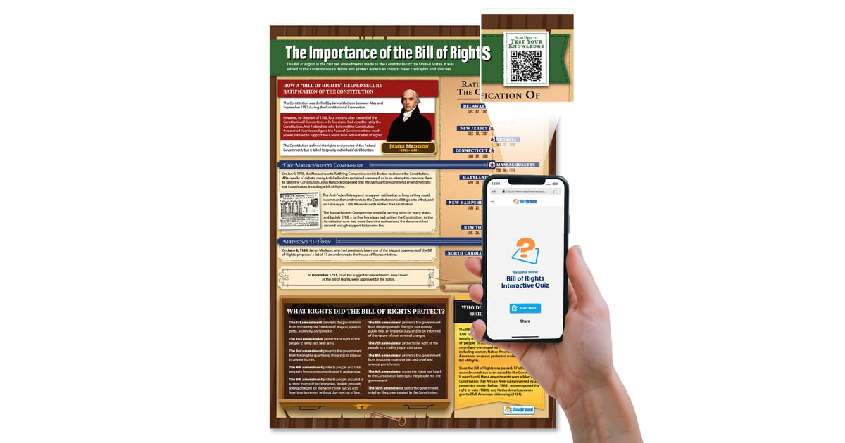 The Importance of the Bill of Rights Poster - Daydream Education