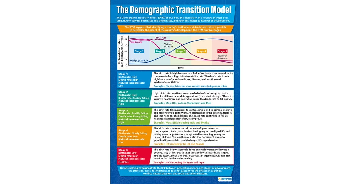 The Demographic Transition Model Poster - Daydream Education