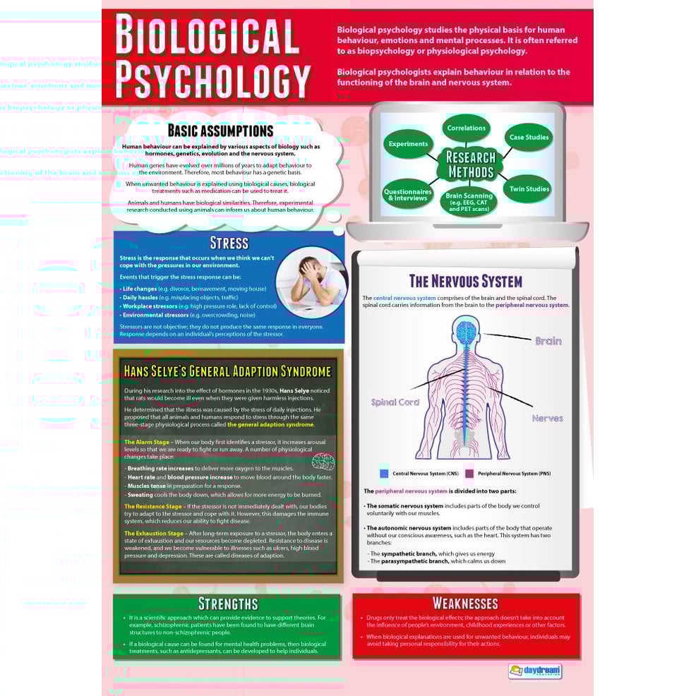 Biological Psychology Poster - Daydream Education