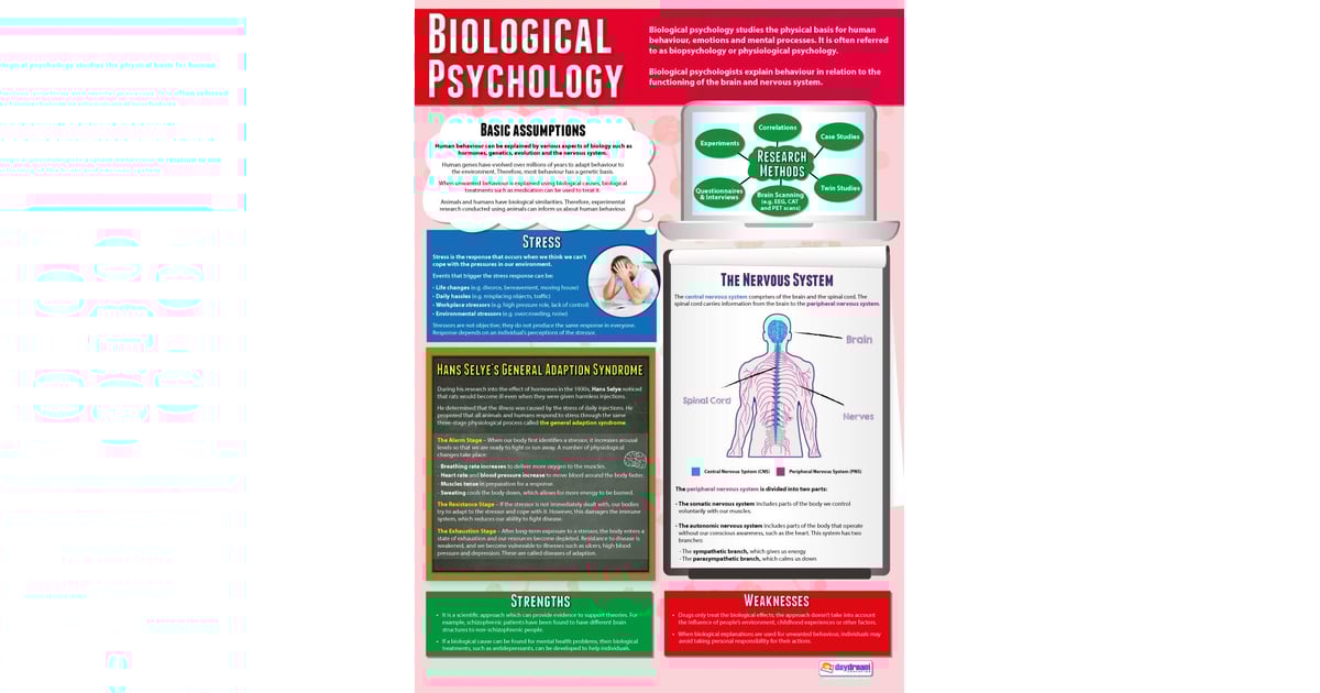 Biological Psychology Poster - Daydream Education