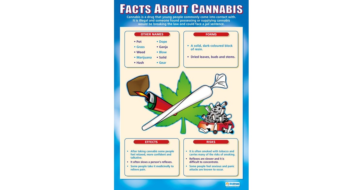 Facts About Cannabis Poster - Daydream Education