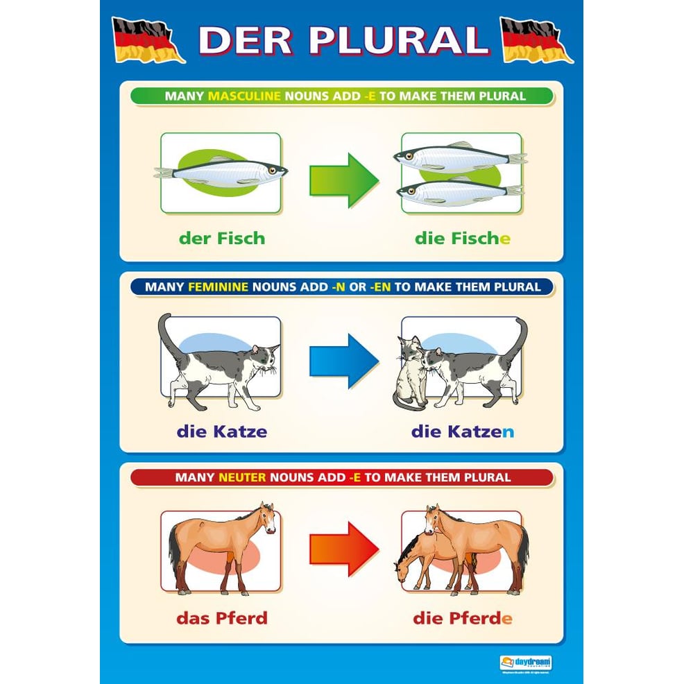 Der Plural Poster - Daydream Education