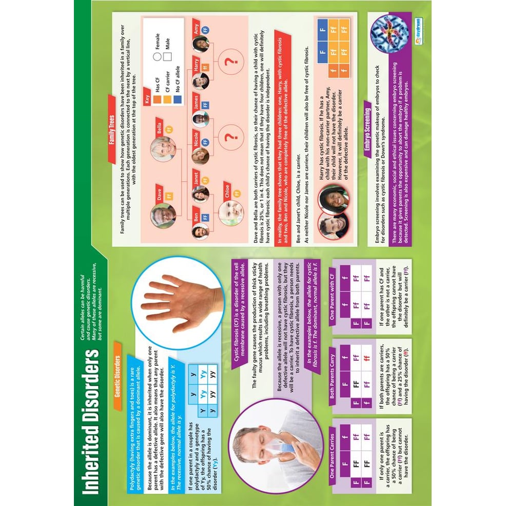 Inherited Disorders Poster - Daydream Education