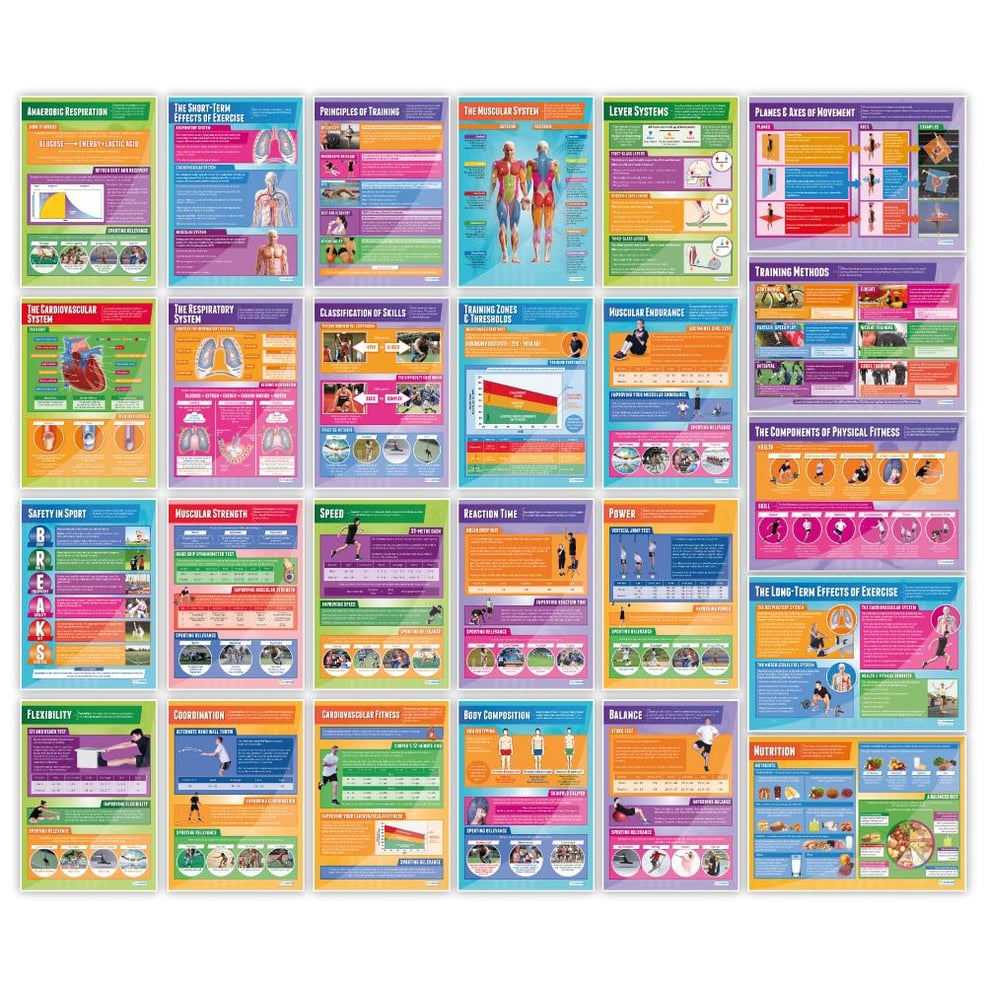 Physical Education Posters - Set of 40 - Daydream Education