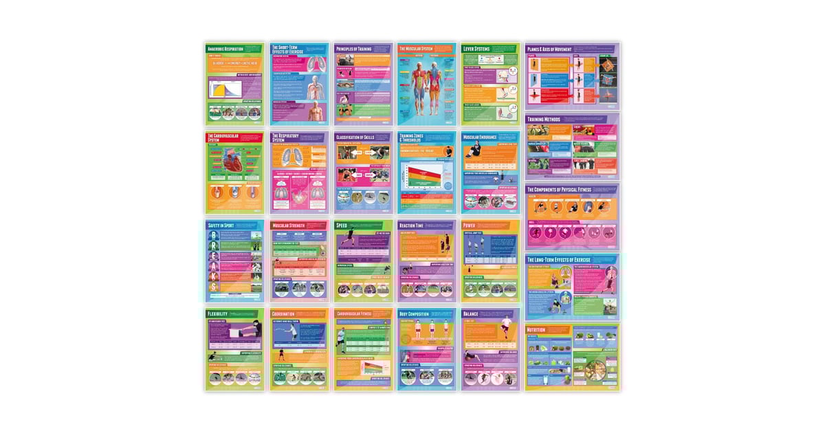 Physical Education Posters - Set of 40 - Daydream Education